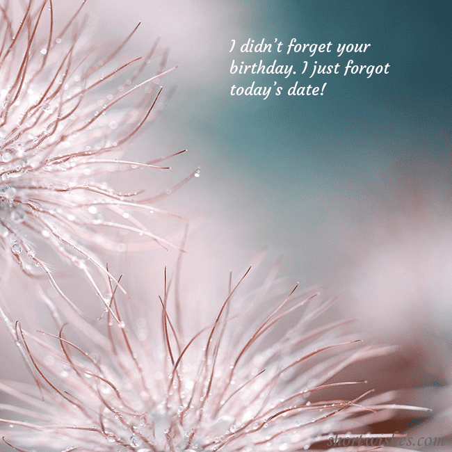 Birthday Wishes