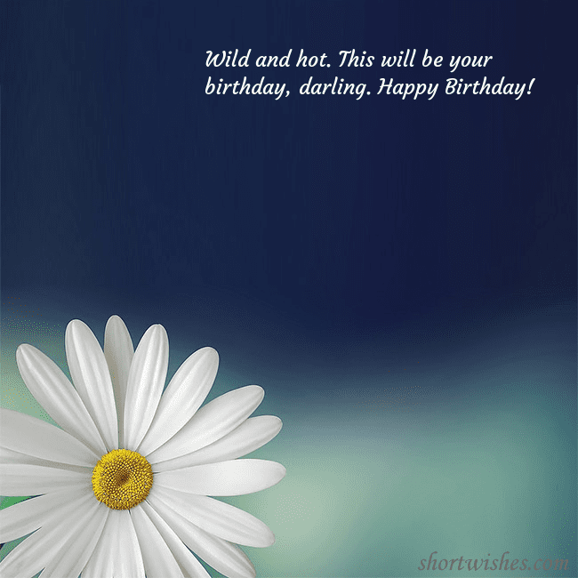 Birthday Wishes Birthday Wishes
